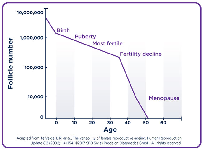 Understanding Ovarian reserve – Fertility Clinic Perth | IVF Clinic ...